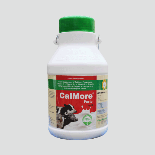 Herbal Calcium Supplement for Dairy Animals – Calmore Forte Liquid