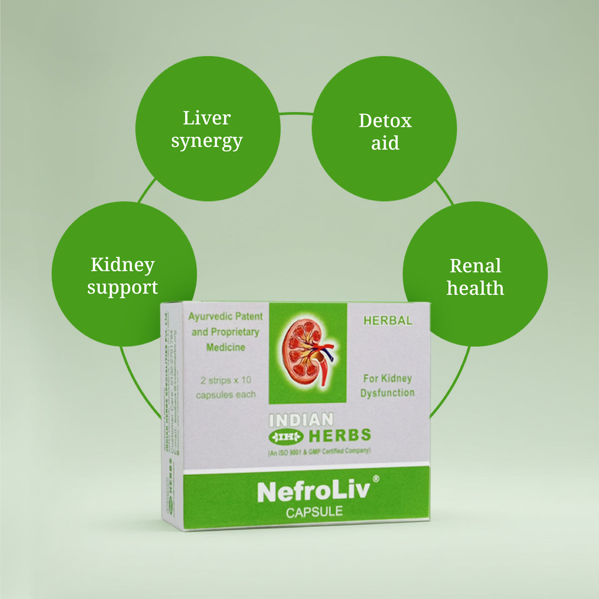 Herbal Kidney Support Supplement – NefroLiv Renal Tonic Capsules
